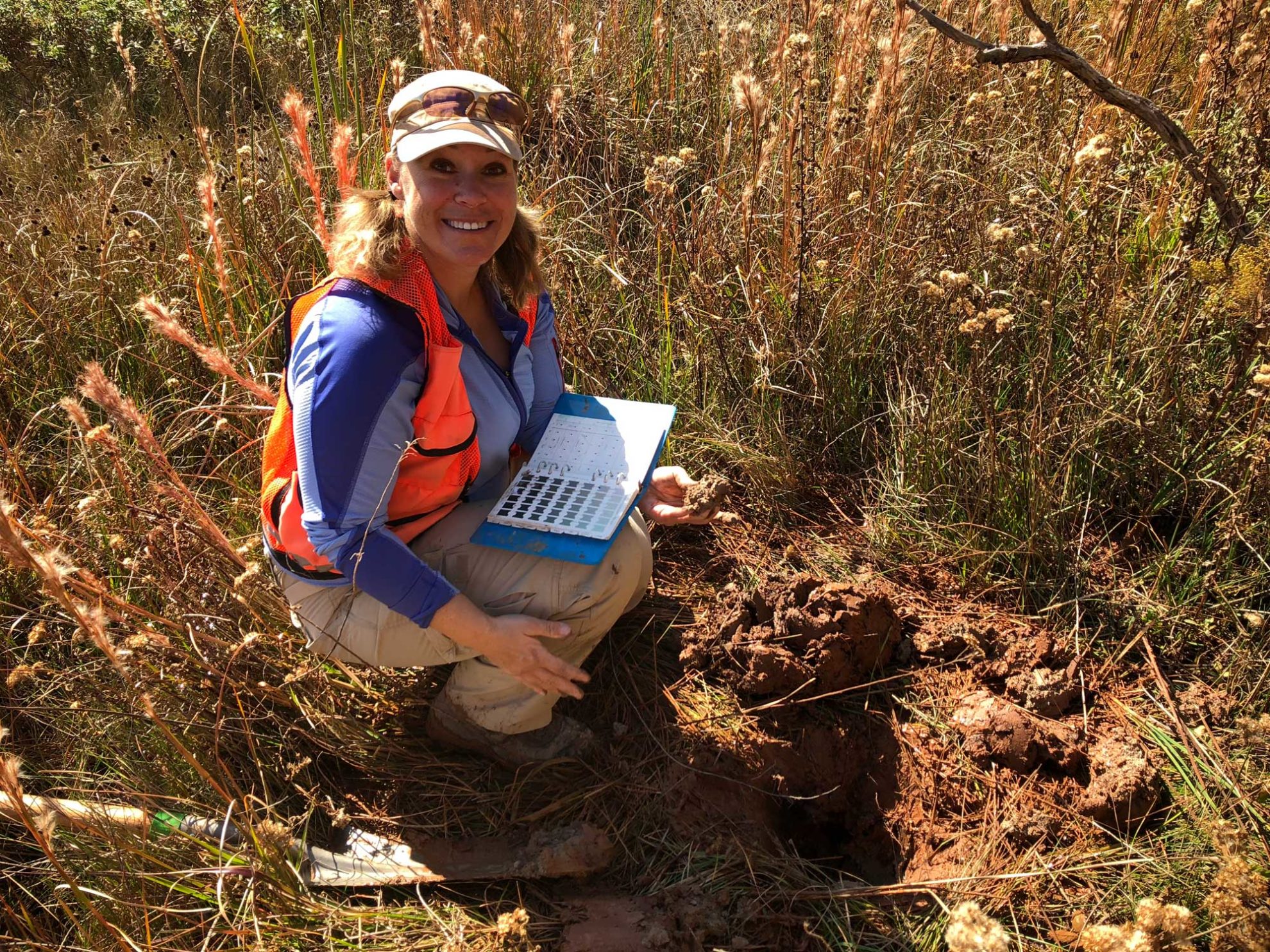 Project Experience – On Pointe Consulting