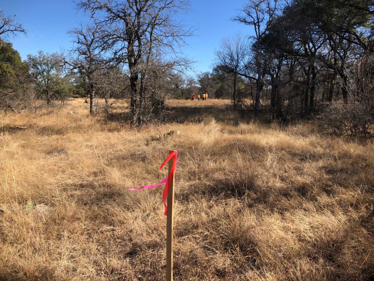 Project Experience – On Pointe Consulting